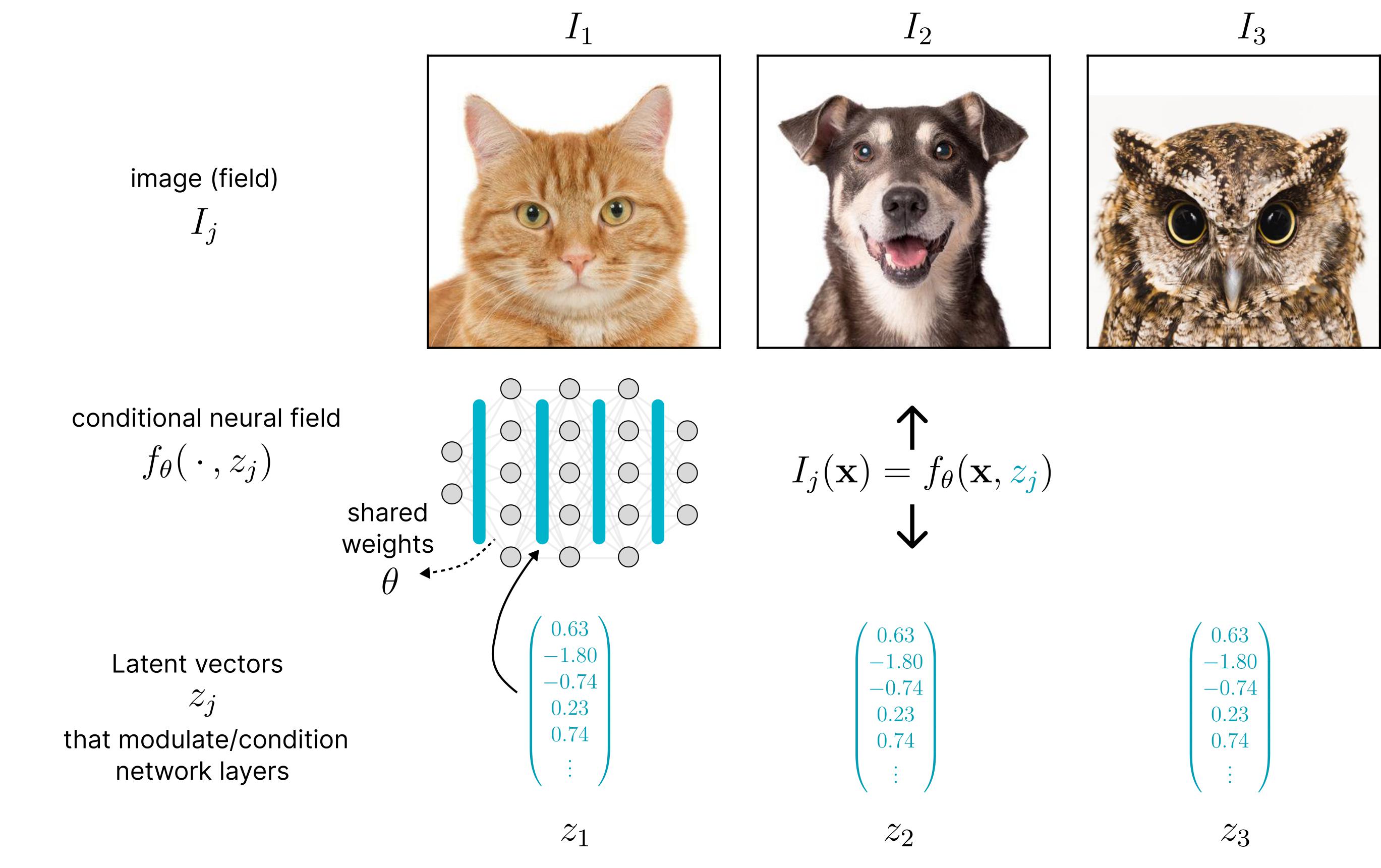 Equivariant Neural Fields - continuous representations grounded in geometry