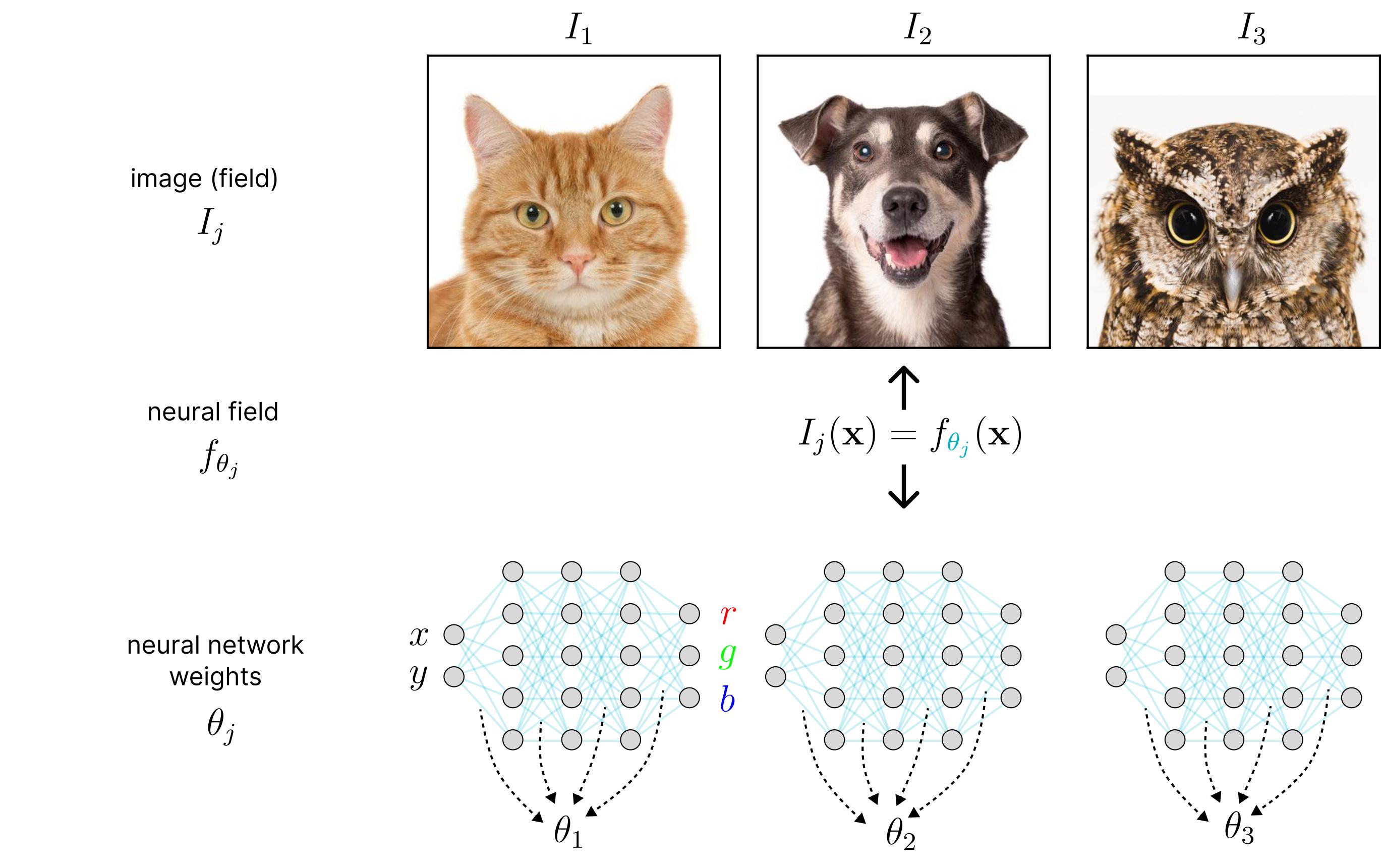 Equivariant Neural Fields - continuous representations grounded in ...